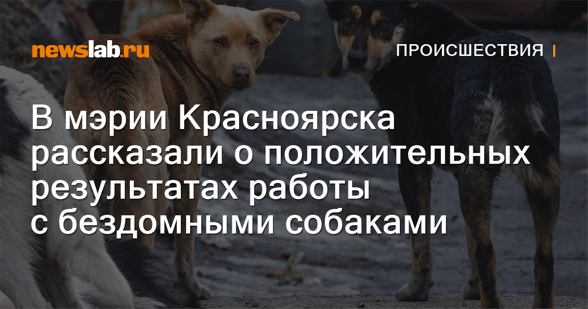 В мэрии Красноярска рассказали о положительных результатах работы с ...